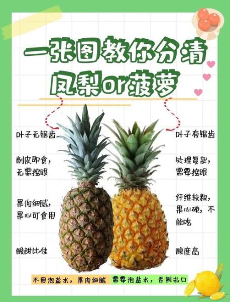 凤梨和菠萝是一种水果吗_区别在哪-第1张图片-山城妙识 凤梨和菠萝是一种水果吗_区别在哪-第1张图片-山城妙识