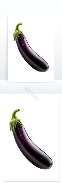 茄瓜的功效与作用_茄瓜的禁忌有哪些-第3张图片-山城妙识 茄瓜的功效与作用_茄瓜的禁忌有哪些-第3张图片-山城妙识