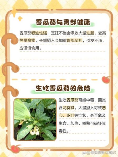 茄瓜的功效与作用_茄瓜的禁忌有哪些-第1张图片-山城妙识 茄瓜的功效与作用_茄瓜的禁忌有哪些-第1张图片-山城妙识