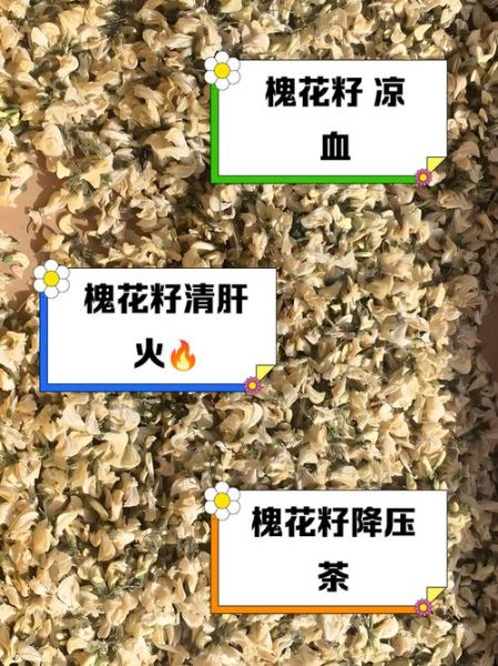 干槐花泡水喝的功效_干槐花泡水喝的禁忌-第2张图片-山城妙识 干槐花泡水喝的功效_干槐花泡水喝的禁忌-第2张图片-山城妙识