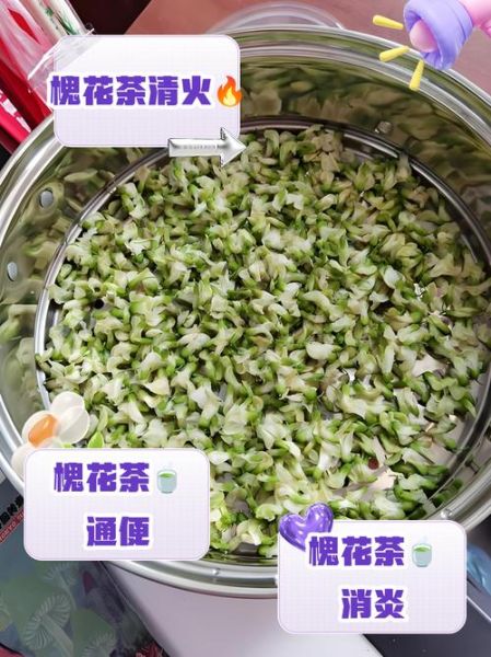 干槐花泡水喝的功效_干槐花泡水喝的禁忌-第3张图片-山城妙识 干槐花泡水喝的功效_干槐花泡水喝的禁忌-第3张图片-山城妙识