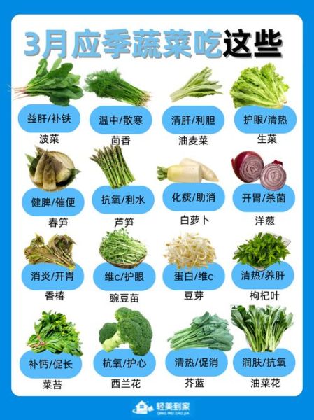 蔬菜有哪些种类_常见蔬菜分类大全-第3张图片-山城妙识 蔬菜有哪些种类_常见蔬菜分类大全-第3张图片-山城妙识