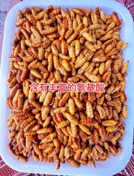 蚕蛹价格多少钱一斤_蚕蛹多少钱一斤最新行情-第2张图片-山城妙识 蚕蛹价格多少钱一斤_蚕蛹多少钱一斤最新行情-第2张图片-山城妙识