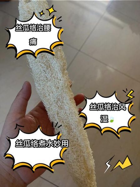 干丝瓜络煮水有什么功效_干丝瓜络煮水能天天喝吗-第1张图片-山城妙识 干丝瓜络煮水有什么功效_干丝瓜络煮水能天天喝吗-第1张图片-山城妙识