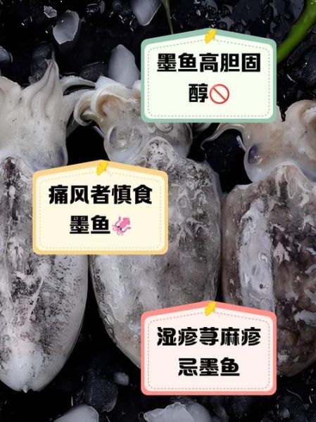 什么人不能吃墨鱼_墨鱼禁忌人群有哪些-第2张图片-山城妙识 什么人不能吃墨鱼_墨鱼禁忌人群有哪些-第2张图片-山城妙识