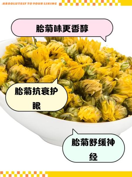 杭白菊和胎菊哪个降火好_菊花茶种类功效区别-第2张图片-山城妙识 杭白菊和胎菊哪个降火好_菊花茶种类功效区别-第2张图片-山城妙识