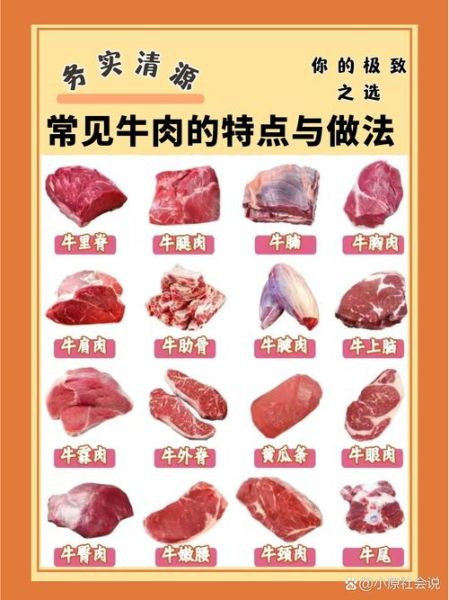 牛肉汉堡用哪个部位_牛肩肉还是牛胸肉-第2张图片-山城妙识 牛肉汉堡用哪个部位_牛肩肉还是牛胸肉-第2张图片-山城妙识