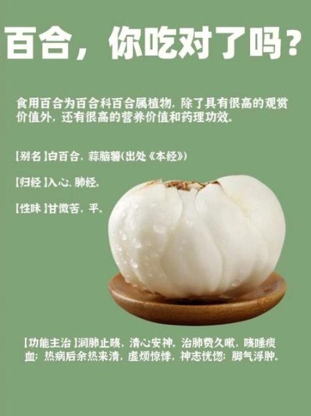 百合怎么吃_百合有什么功效与作用-第1张图片-山城妙识
