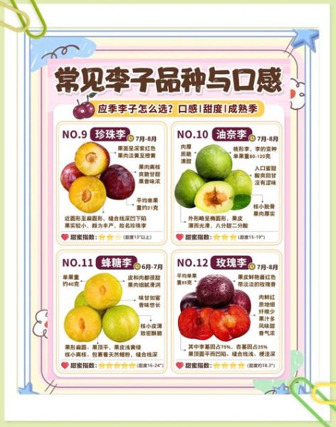 李子能减肥吗_李子的功效与作用-第1张图片-山城妙识 李子能减肥吗_李子的功效与作用-第1张图片-山城妙识