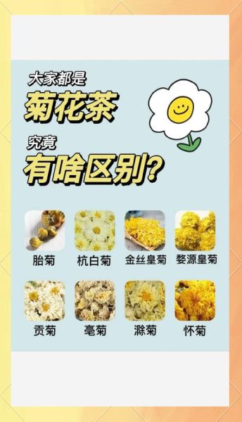 杭白菊和胎菊哪个降火好_菊花茶种类功效区别-第3张图片-山城妙识 杭白菊和胎菊哪个降火好_菊花茶种类功效区别-第3张图片-山城妙识