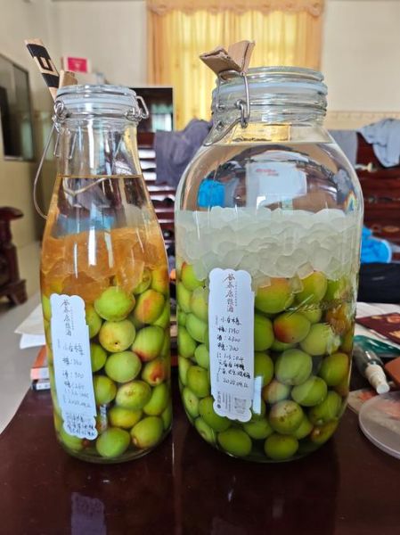 杨梅酒瓶子怎么选_杨梅酒瓶子密封方法-第1张图片-山城妙识 杨梅酒瓶子怎么选_杨梅酒瓶子密封方法-第1张图片-山城妙识