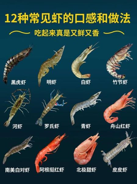 青虾的营养价值及功效与作用_青虾怎么吃最健康-第3张图片-山城妙识 青虾的营养价值及功效与作用_青虾怎么吃最健康-第3张图片-山城妙识