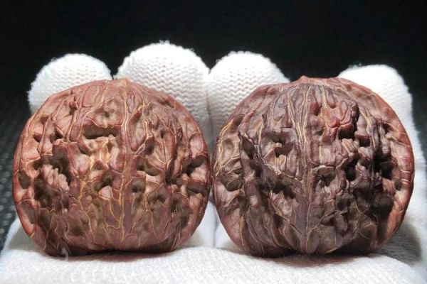 闷尖狮子头多少钱一对_如何挑选正宗闷尖狮子头-第2张图片-山城妙识 闷尖狮子头多少钱一对_如何挑选正宗闷尖狮子头-第2张图片-山城妙识