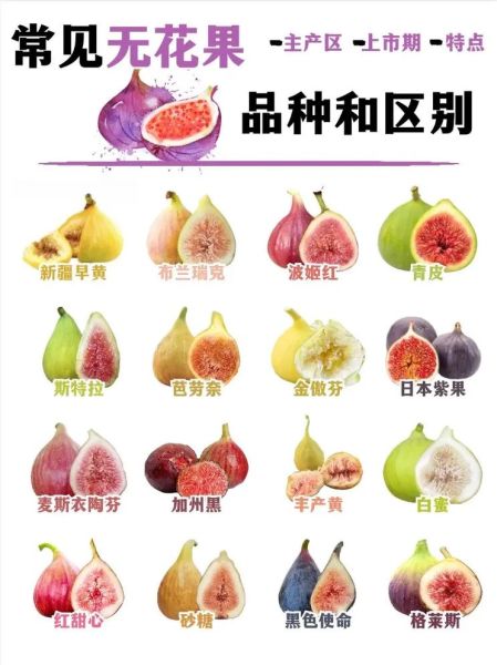 无花果图片大全大图_无花果怎么挑选-第2张图片-山城妙识