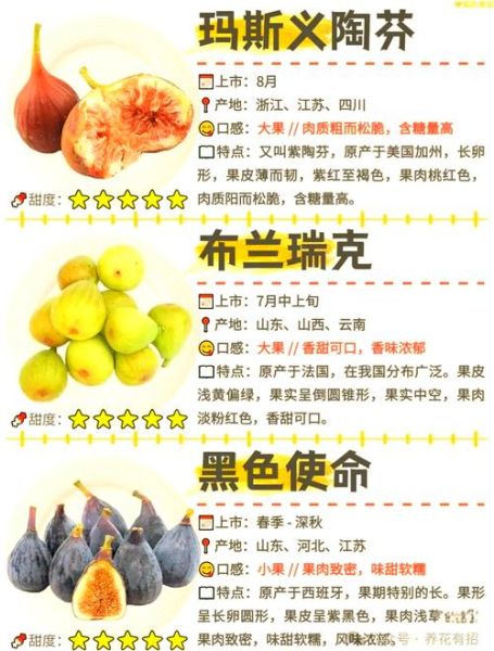 无花果图片大全大图_无花果怎么挑选-第1张图片-山城妙识