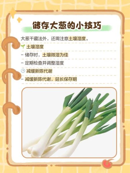 大葱怎么保存不空心_大葱怎么储存时间更长-第3张图片-山城妙识 大葱怎么保存不空心_大葱怎么储存时间更长-第3张图片-山城妙识