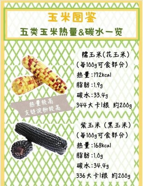 粘玉米热量高吗_一根粘玉米多少大卡-第3张图片-山城妙识 粘玉米热量高吗_一根粘玉米多少大卡-第3张图片-山城妙识