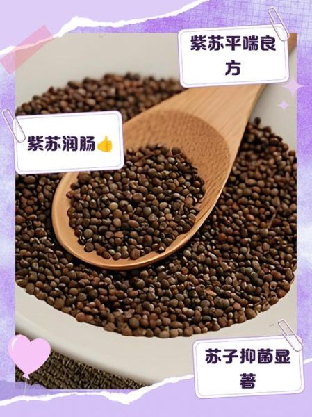 苏子籽的功效与作用_苏子籽怎么吃效果最好-第2张图片-山城妙识 苏子籽的功效与作用_苏子籽怎么吃效果最好-第2张图片-山城妙识