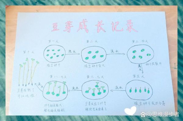 绿豆芽怎么发_绿豆芽制作步骤-第1张图片-山城妙识 绿豆芽怎么发_绿豆芽制作步骤-第1张图片-山城妙识