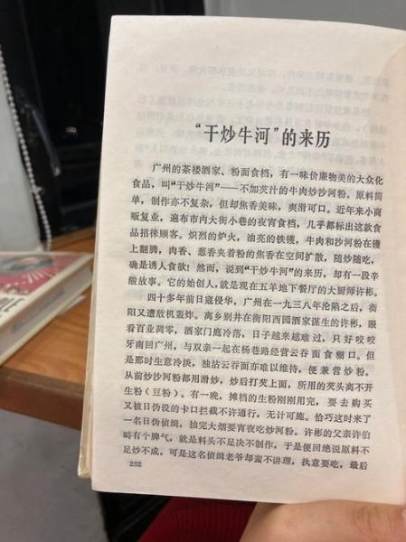 干炒牛河是什么梗_干炒牛河梗怎么来的-第3张图片-山城妙识 干炒牛河是什么梗_干炒牛河梗怎么来的-第3张图片-山城妙识
