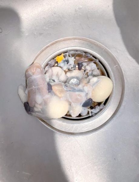 八爪鱼怎么清理内脏_八爪鱼内脏清理视频教程-第1张图片-山城妙识 八爪鱼怎么清理内脏_八爪鱼内脏清理视频教程-第1张图片-山城妙识