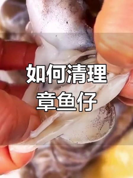 八爪鱼怎么清理内脏_八爪鱼内脏清理视频教程-第3张图片-山城妙识 八爪鱼怎么清理内脏_八爪鱼内脏清理视频教程-第3张图片-山城妙识