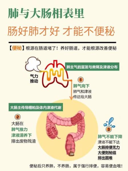 便秘怎么办_最快通便方法-第1张图片-山城妙识 便秘怎么办_最快通便方法-第1张图片-山城妙识