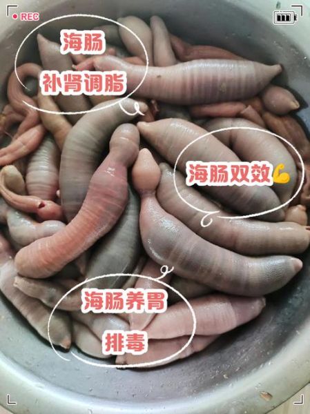 海肠怎么处理_海肠怎么清洗才干净-第3张图片-山城妙识 海肠怎么处理_海肠怎么清洗才干净-第3张图片-山城妙识