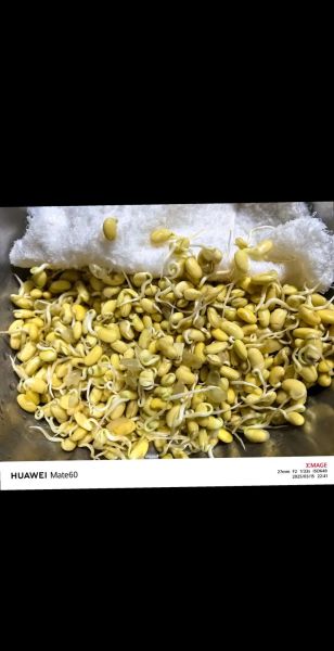 黄豆芽要焯水吗_焯水多久才安全-第3张图片-山城妙识 黄豆芽要焯水吗_焯水多久才安全-第3张图片-山城妙识