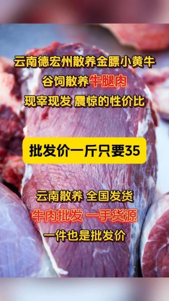 生牛肉价格今日价_一斤多少钱-第1张图片-山城妙识 生牛肉价格今日价_一斤多少钱-第1张图片-山城妙识