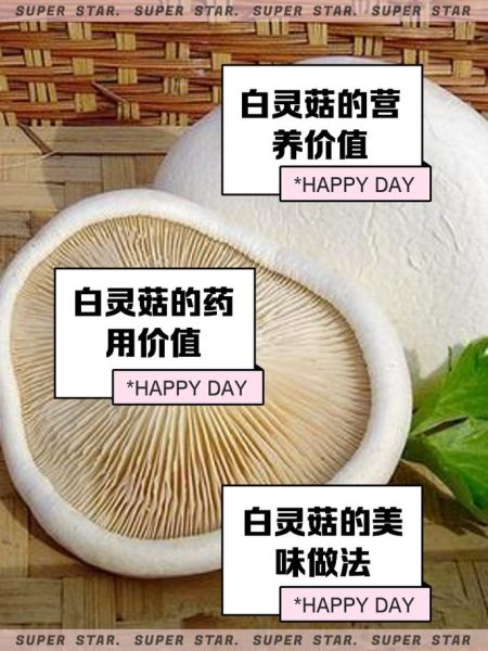 白灵菇怎么做好吃_白灵菇的做法窍门-第1张图片-山城妙识 白灵菇怎么做好吃_白灵菇的做法窍门-第1张图片-山城妙识