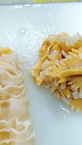 象拔蚌刺身怎么做_象拔蚌刺身处理技巧-第1张图片-山城妙识 象拔蚌刺身怎么做_象拔蚌刺身处理技巧-第1张图片-山城妙识