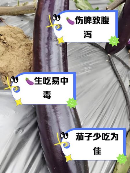 女人经常吃茄子的危害_茄子吃多了有什么坏处-第2张图片-山城妙识 女人经常吃茄子的危害_茄子吃多了有什么坏处-第2张图片-山城妙识