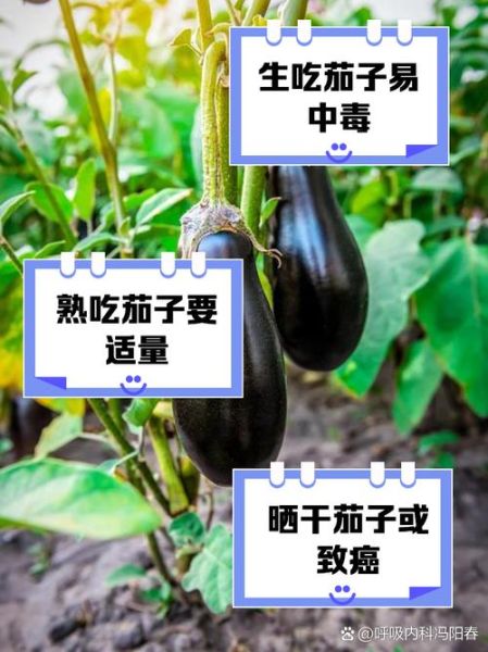 女人经常吃茄子的危害_茄子吃多了有什么坏处-第3张图片-山城妙识 女人经常吃茄子的危害_茄子吃多了有什么坏处-第3张图片-山城妙识