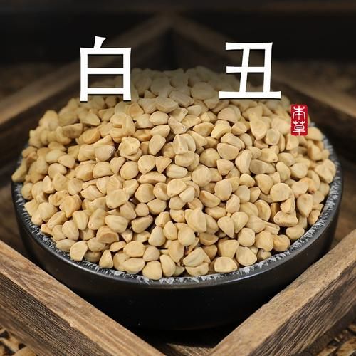 牵牛子用量多少克_牵牛子用量大了怎么办-第2张图片-山城妙识 牵牛子用量多少克_牵牛子用量大了怎么办-第2张图片-山城妙识