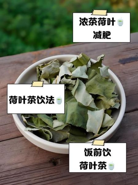 荷叶茶多久能减肥_荷叶茶喝多久见效-第3张图片-山城妙识 荷叶茶多久能减肥_荷叶茶喝多久见效-第3张图片-山城妙识