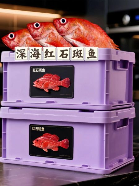 红石斑鱼图片大全大图_红石斑鱼怎么做好吃-第1张图片-山城妙识 红石斑鱼图片大全大图_红石斑鱼怎么做好吃-第1张图片-山城妙识