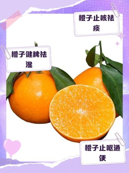 女人每天吃一个橙子好吗_女人吃橙子皮肤会变白吗-第3张图片-山城妙识 女人每天吃一个橙子好吗_女人吃橙子皮肤会变白吗-第3张图片-山城妙识