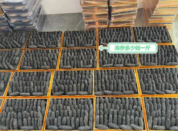 大连海参价格表_多少钱一斤-第1张图片-山城妙识 大连海参价格表_多少钱一斤-第1张图片-山城妙识