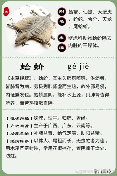 蛤蚧的功效与作用及食用方法_蛤蚧怎么吃效果最好-第1张图片-山城妙识