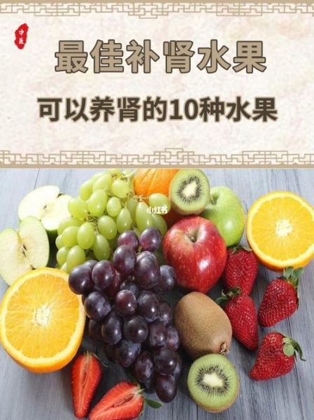 补肾的食物和水果有哪些_怎么吃效果最好-第2张图片-山城妙识