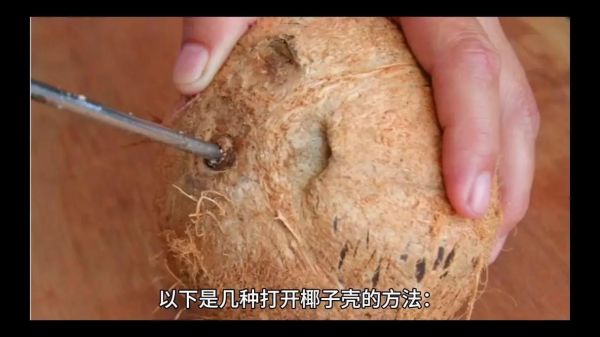 椰子怎么开最简单_椰子开壳技巧-第2张图片-山城妙识 椰子怎么开最简单_椰子开壳技巧-第2张图片-山城妙识