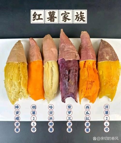 番薯的营养价值_番薯的功效与作用-第1张图片-山城妙识 番薯的营养价值_番薯的功效与作用-第1张图片-山城妙识