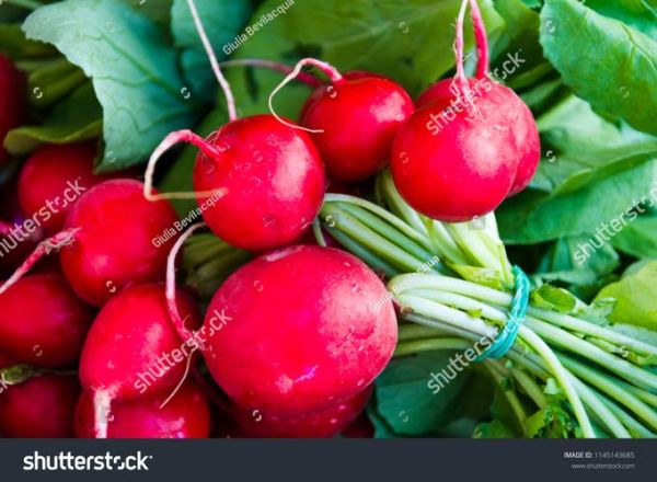 what_are_radishes_good_for_why_are_radishes_called_radish-第2张图片-山城妙识 what_are_radishes_good_for_why_are_radishes_called_radish-第2张图片-山城妙识