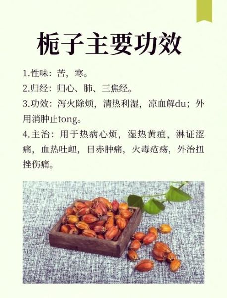 栀子功效与作用_栀子用量多少克-第2张图片-山城妙识 栀子功效与作用_栀子用量多少克-第2张图片-山城妙识