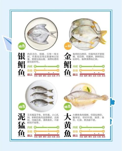 海鱼有哪些品种_海鱼怎么做好吃-第3张图片-山城妙识 海鱼有哪些品种_海鱼怎么做好吃-第3张图片-山城妙识