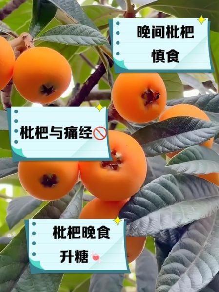 孕妇可以吃枇杷吗_枇杷对胎儿的影响-第2张图片-山城妙识 孕妇可以吃枇杷吗_枇杷对胎儿的影响-第2张图片-山城妙识