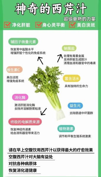 西芹汁的功效与作用_西芹汁能减肥吗-第1张图片-山城妙识 西芹汁的功效与作用_西芹汁能减肥吗-第1张图片-山城妙识
