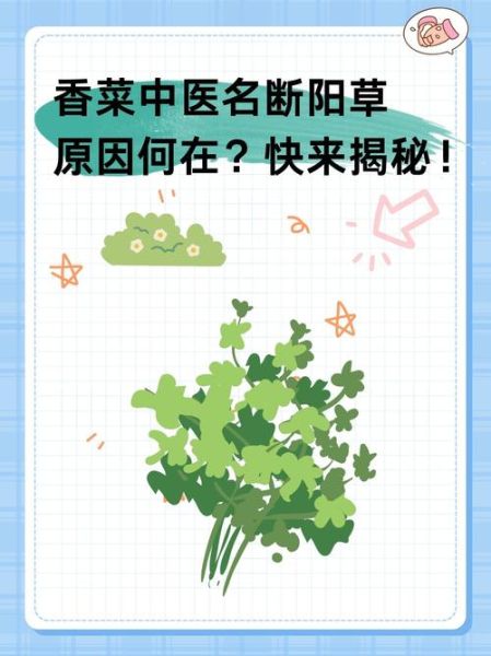 香菜为什么叫断阳草_香菜断阳草的来历-第1张图片-山城妙识 香菜为什么叫断阳草_香菜断阳草的来历-第1张图片-山城妙识