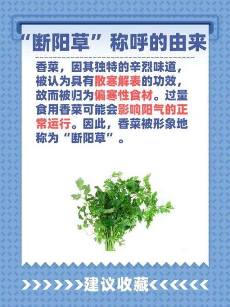 香菜为什么叫断阳草_香菜断阳草的来历-第3张图片-山城妙识 香菜为什么叫断阳草_香菜断阳草的来历-第3张图片-山城妙识